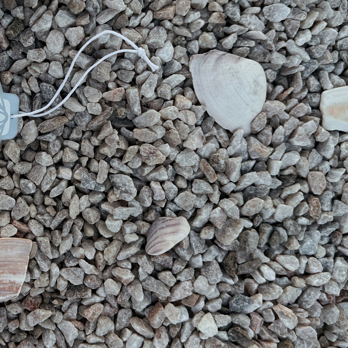 Take A Dip Into My First Ever Swim Collection! – POPFLEX®