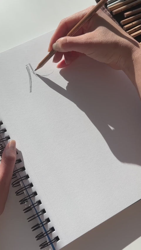 Ambition Bra - Oasis – POPFLEX®